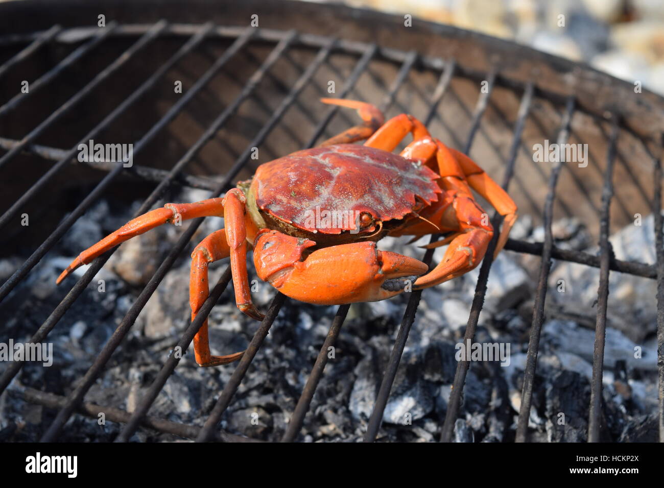 Side perspective of a raw crab cooking on a barbecue grill Stock Photo ...