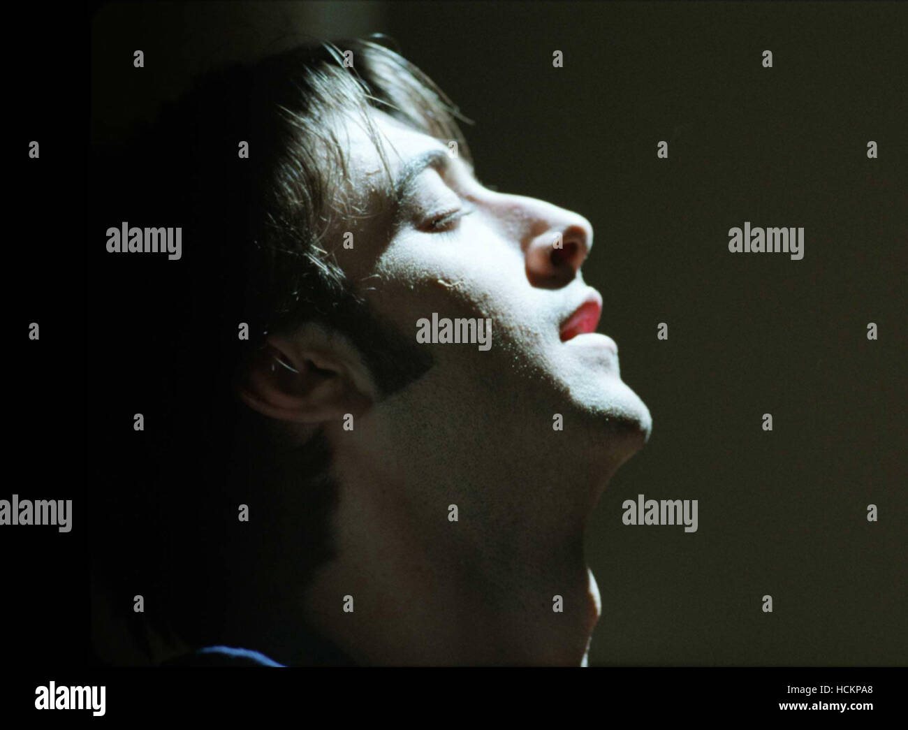 SHADOWS, (aka SENKI), Borce Nacev, 2007. ©Bavaria Film International ...