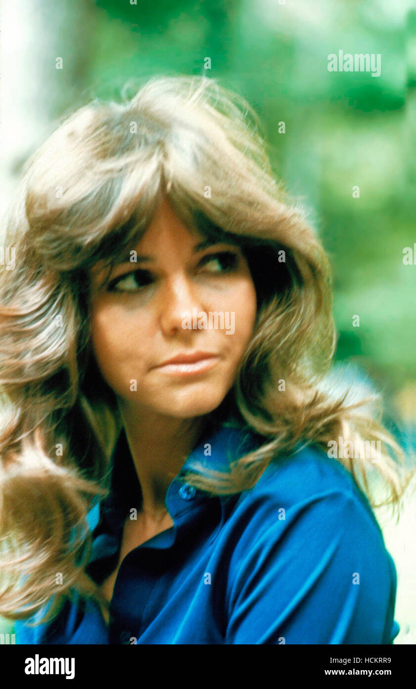 Sally field smokey and the bandit 1977 hi-res stock photography and ...