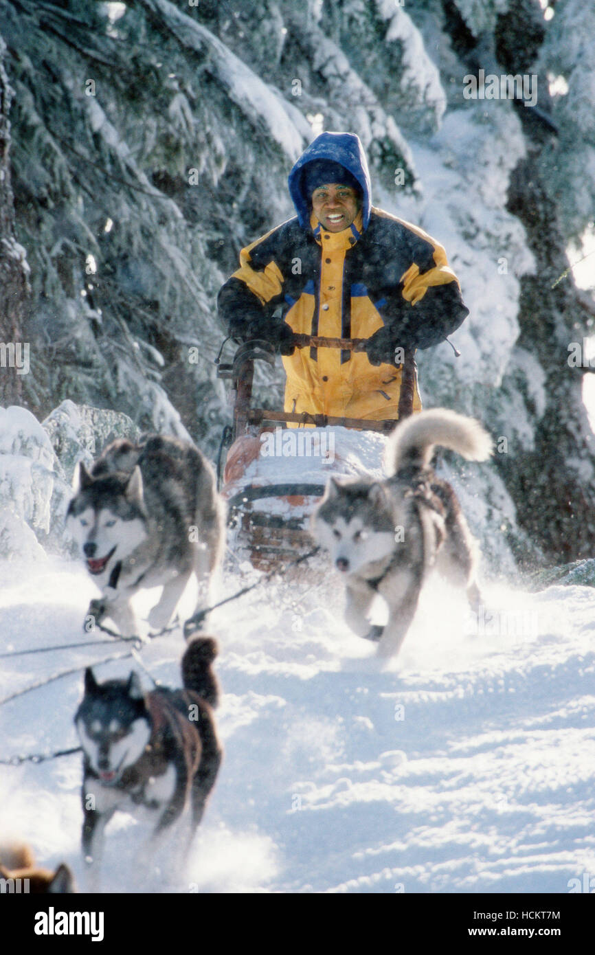 SNOW DOGS, Cuba Gooding Jr., 2002 (c) Walt Disney. Courtesy Everett ...