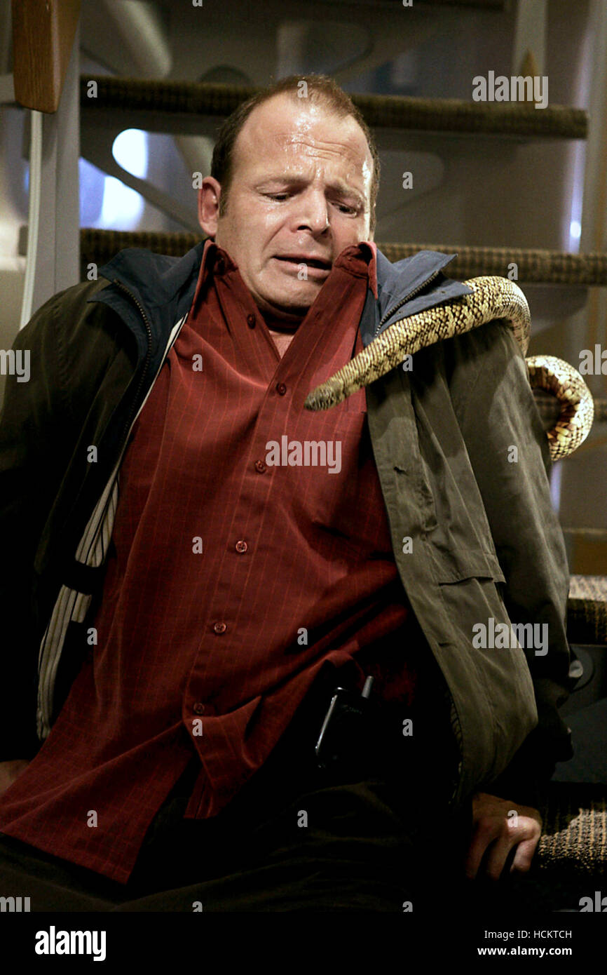 SNAKES ON A PLANE, Mark Houghton, 2006, © New Line Cinema / Courtesy ...