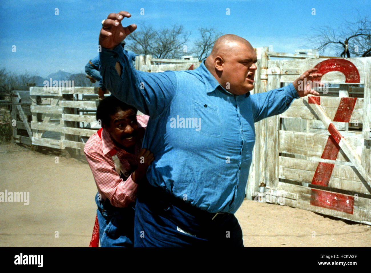 STIR CRAZY, Richard Pryor, Erland van Lidth, 1980 Stock Photo - Alamy