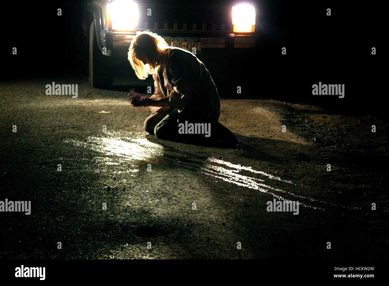 STEPHANIE DALEY, Tilda Swinton, 2006. ©Regent Releasing/courtesy ...