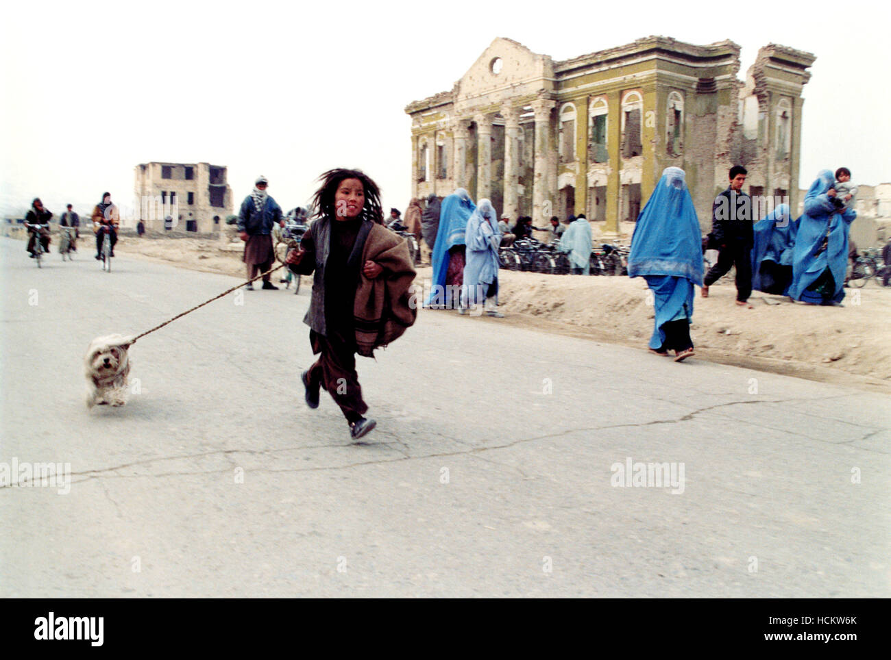 STRAY DOGS, (aka SAG-HAYE VELGARD), Gol-Ghotai, 2004 Stock Photo - Alamy