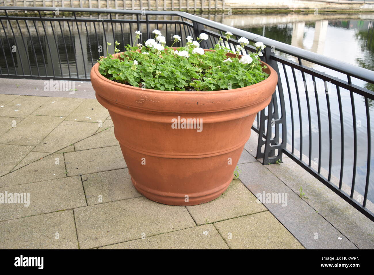 Terrace on looking the river with a plant pot in the front Stock Photo ...