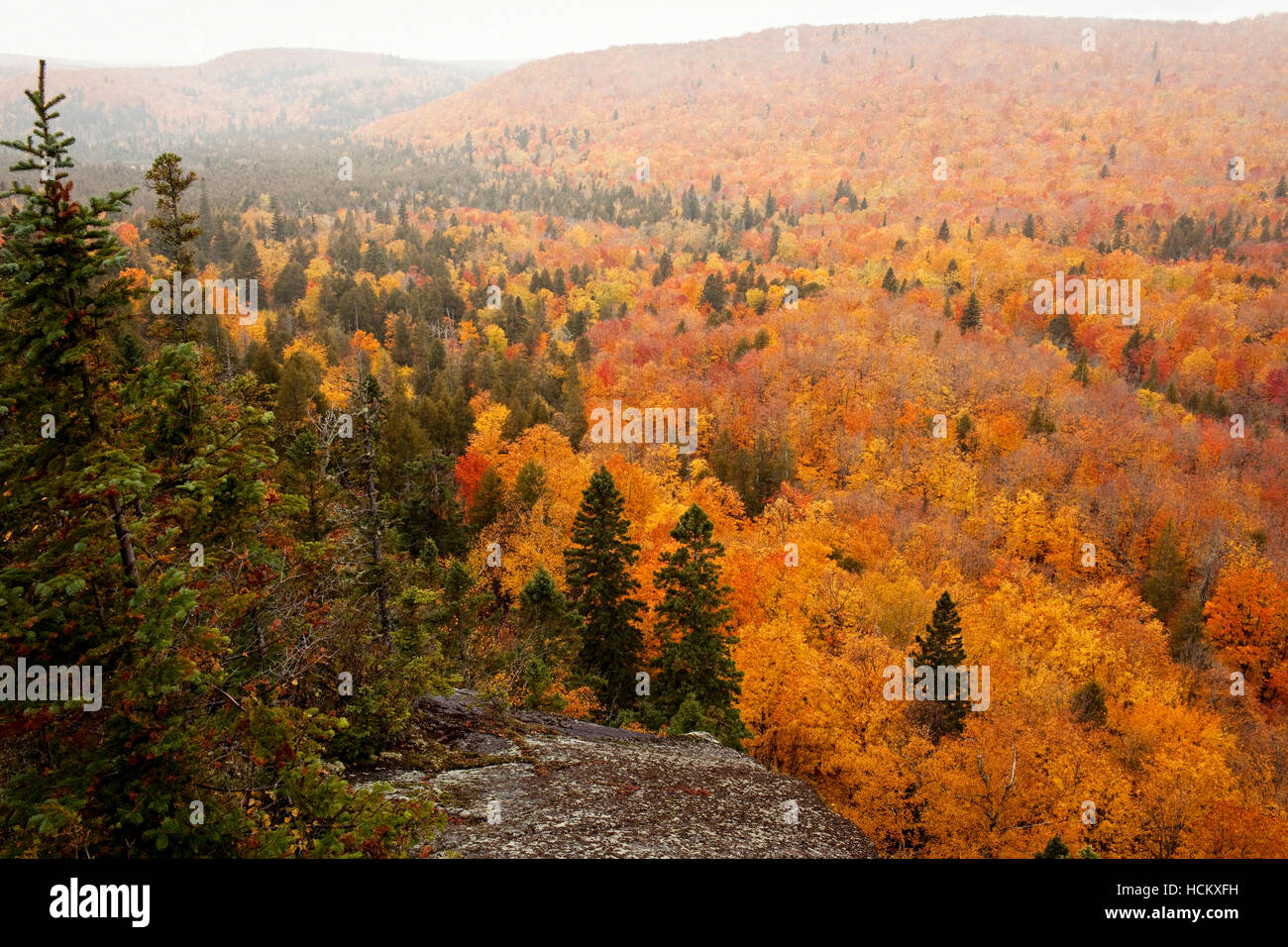 Autumn color emerges from the rain on Moose Mountain, Lutsen, Minnesota ...