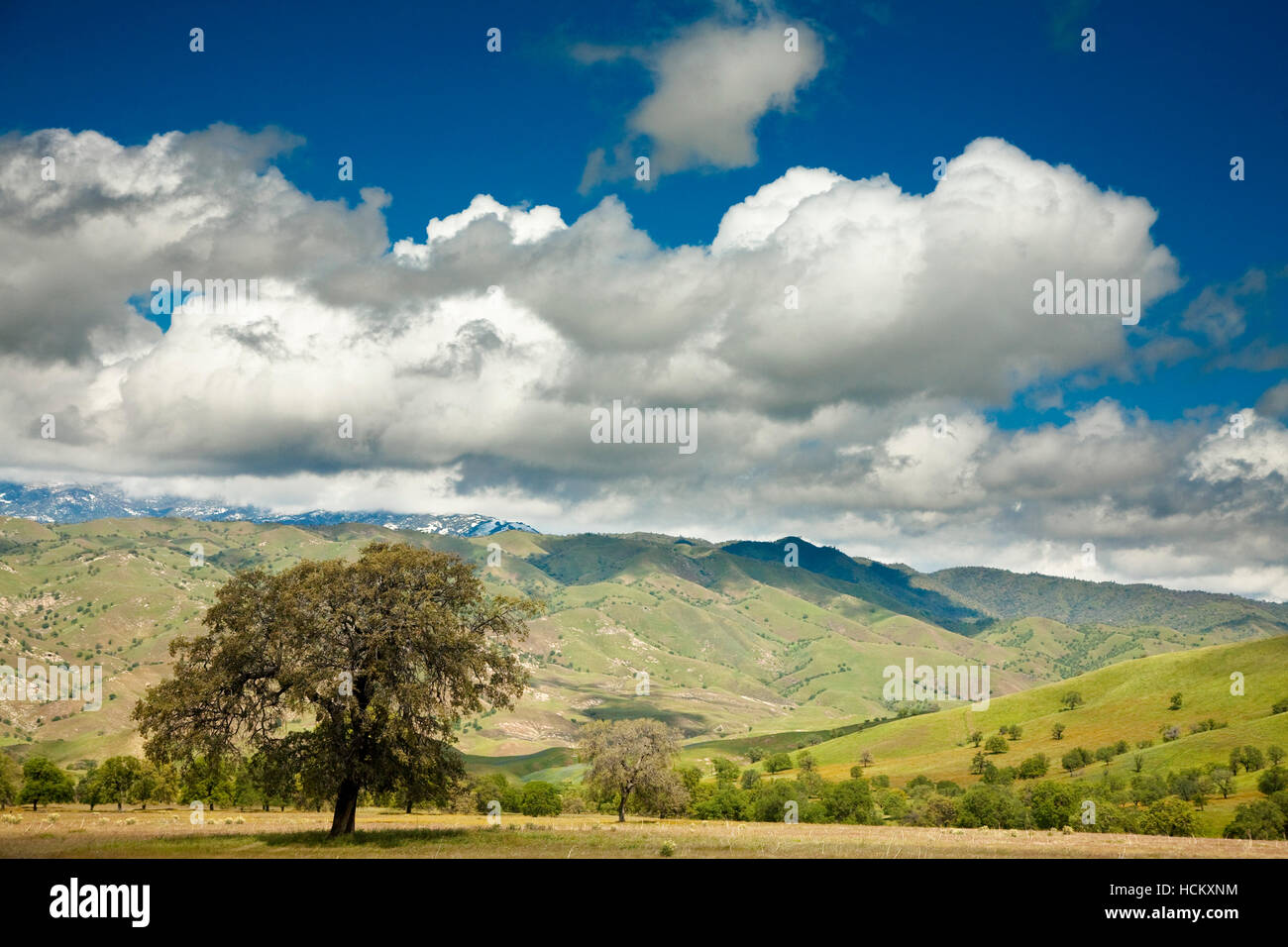 Keene california hi-res stock photography and images - Alamy