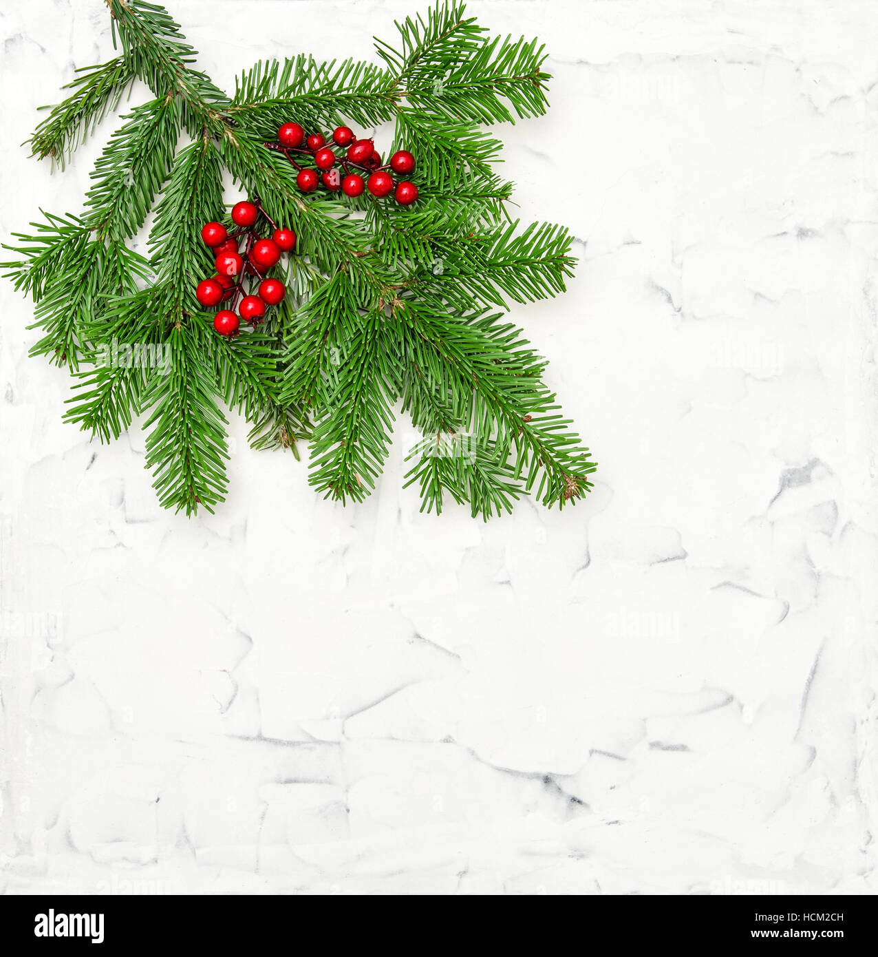 Texture stone wall tree hi-res stock photography and images - Alamy