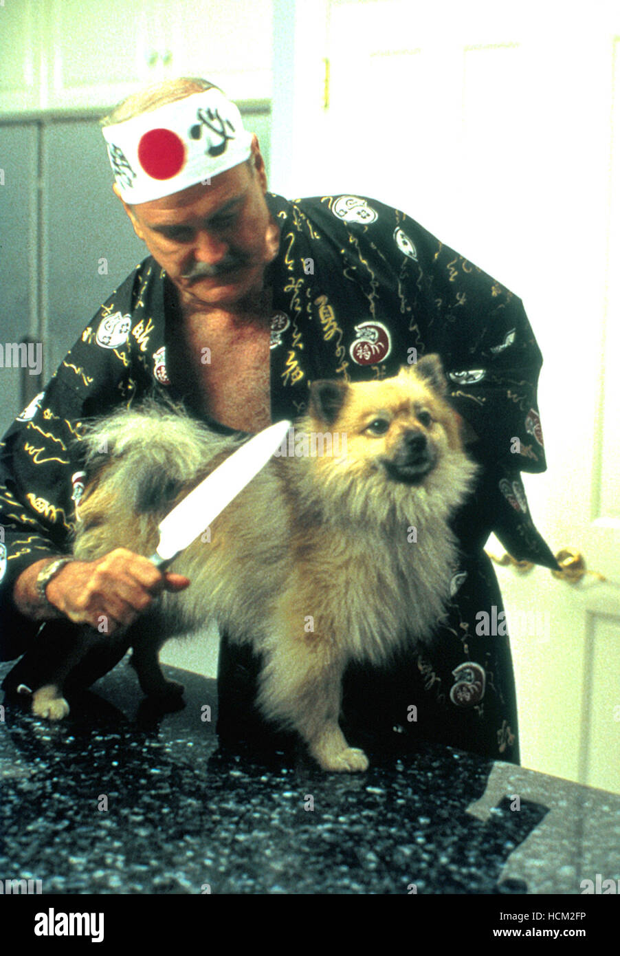 SCORCHED, John Cleese, 2003, (c) Constantin Films/courtesy Everett ...