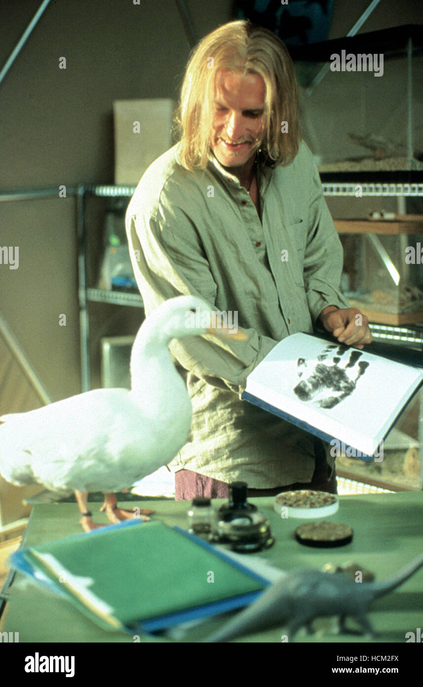 SCORCHED, Woody Harrelson, 2003, (c) Constantin Films/courtesy Everett ...