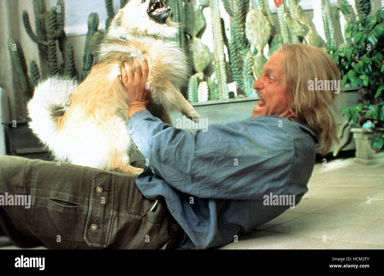 SCORCHED, Woody Harrelson, 2003, (c) Constantin Films/courtesy Everett ...