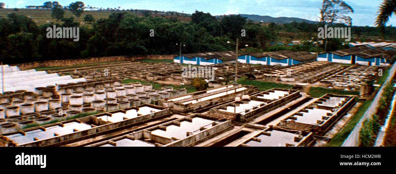 MANDA BALA (SEND A BULLET), 2007. ©City Lights Pictures/courtesy ...