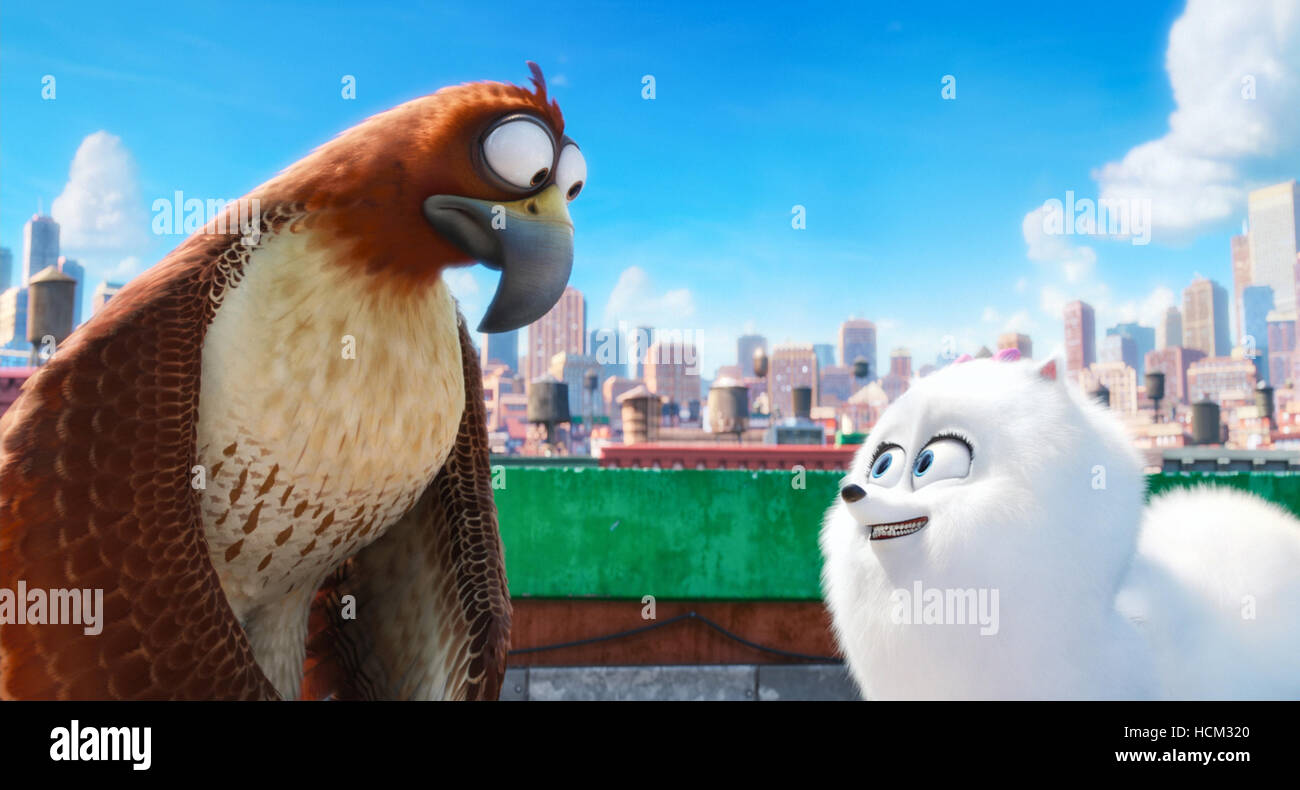 THE SECRET LIFE OF PETS, from left: Tiberius (voice: Albert Brooks ...