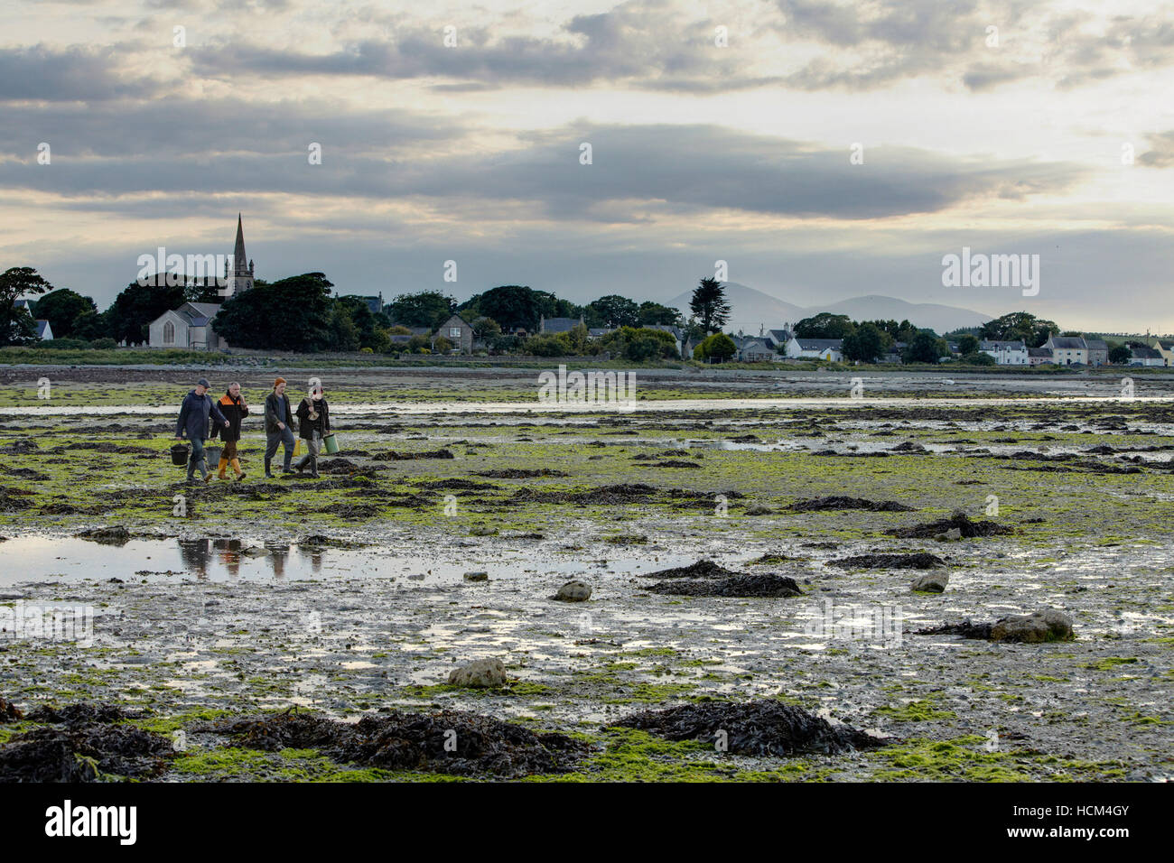THE SHORE, from left starting with Conleth Hill (second from left ...