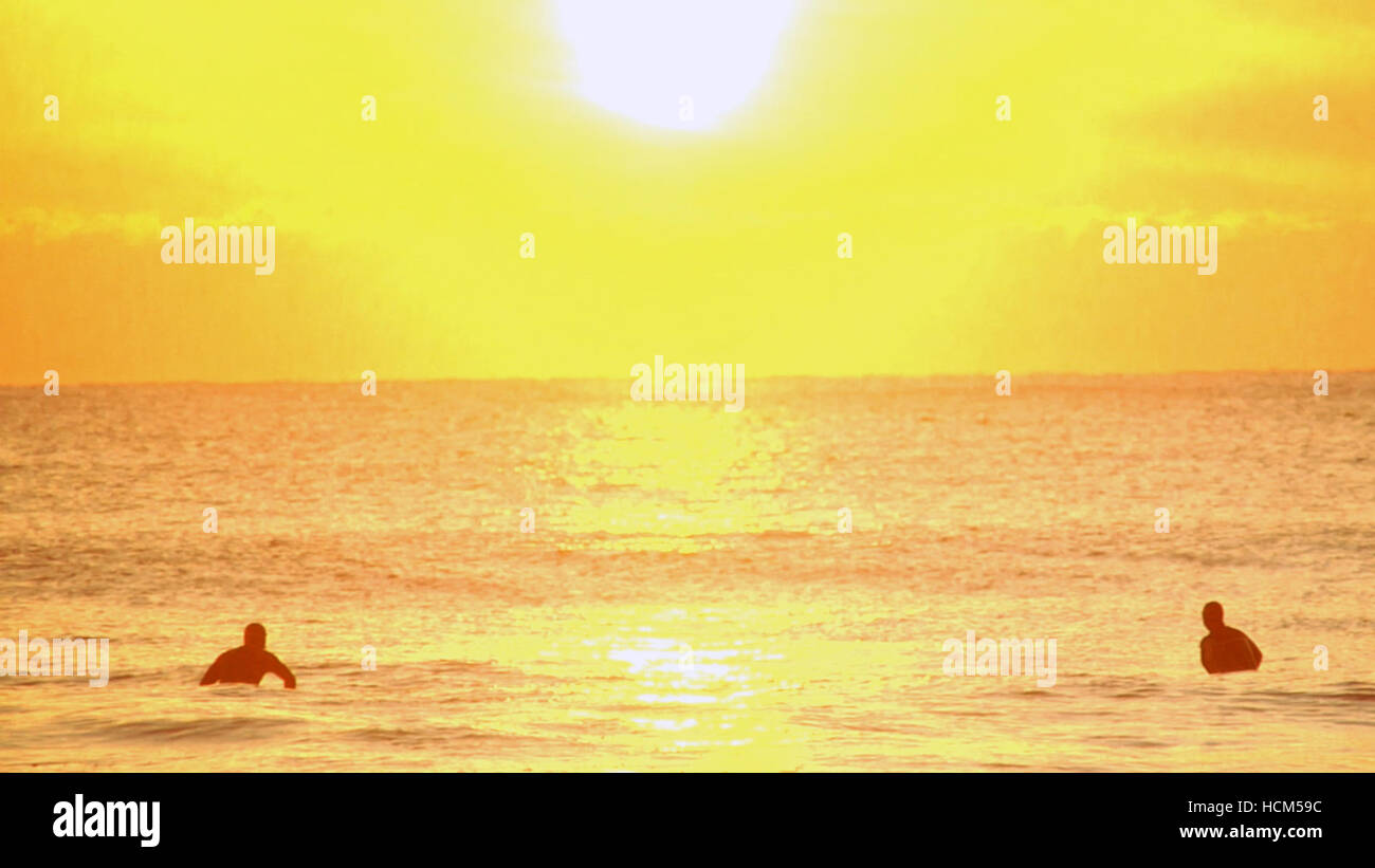 SHORED UP, surfers at morning, 2013 Stock Photo - Alamy