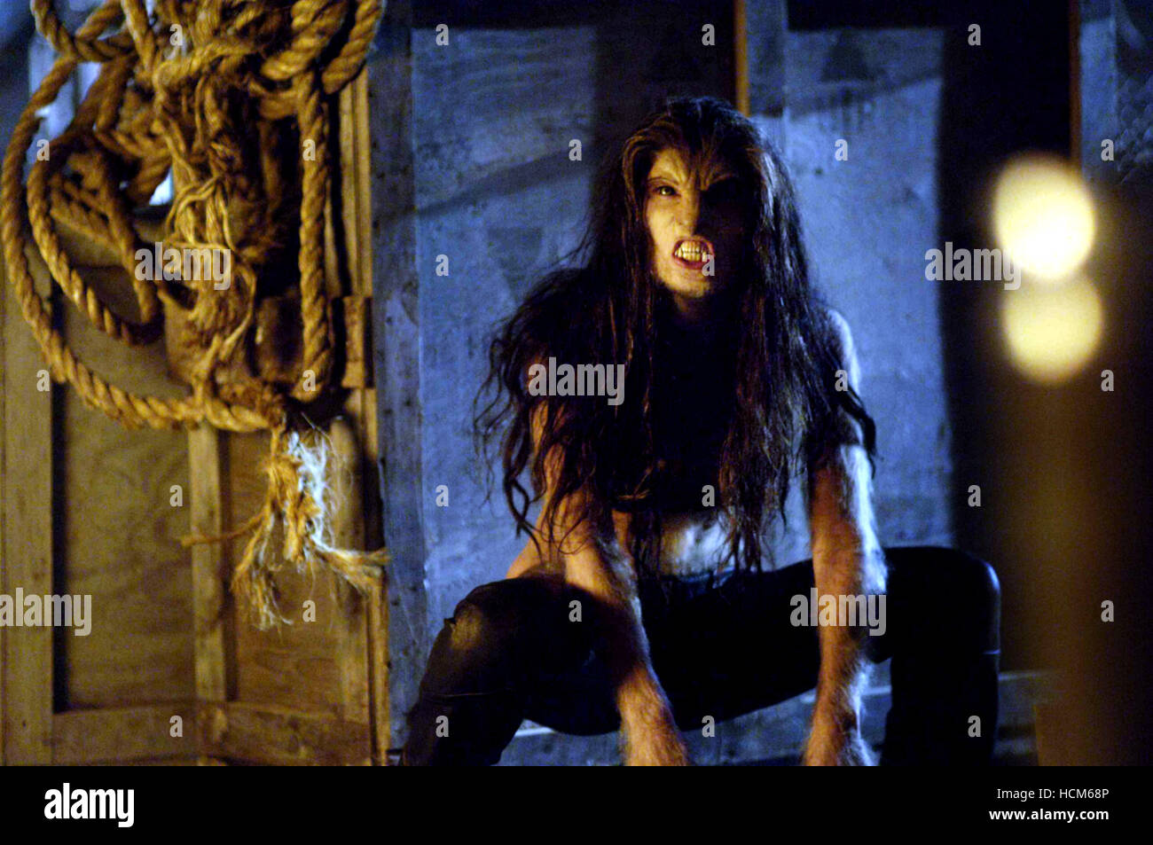 Skinwalker 2006 Hawkeye Birds Of Prey A Male And Female Harris Hawk In