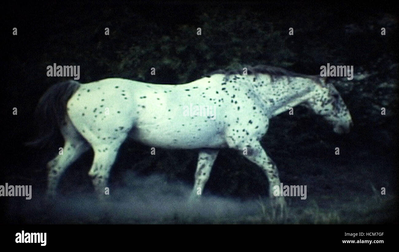 THE SOUND OF INSECTS: RECORD OF A MUMMY, 2008. ©Lorber Films/Courtesy ...