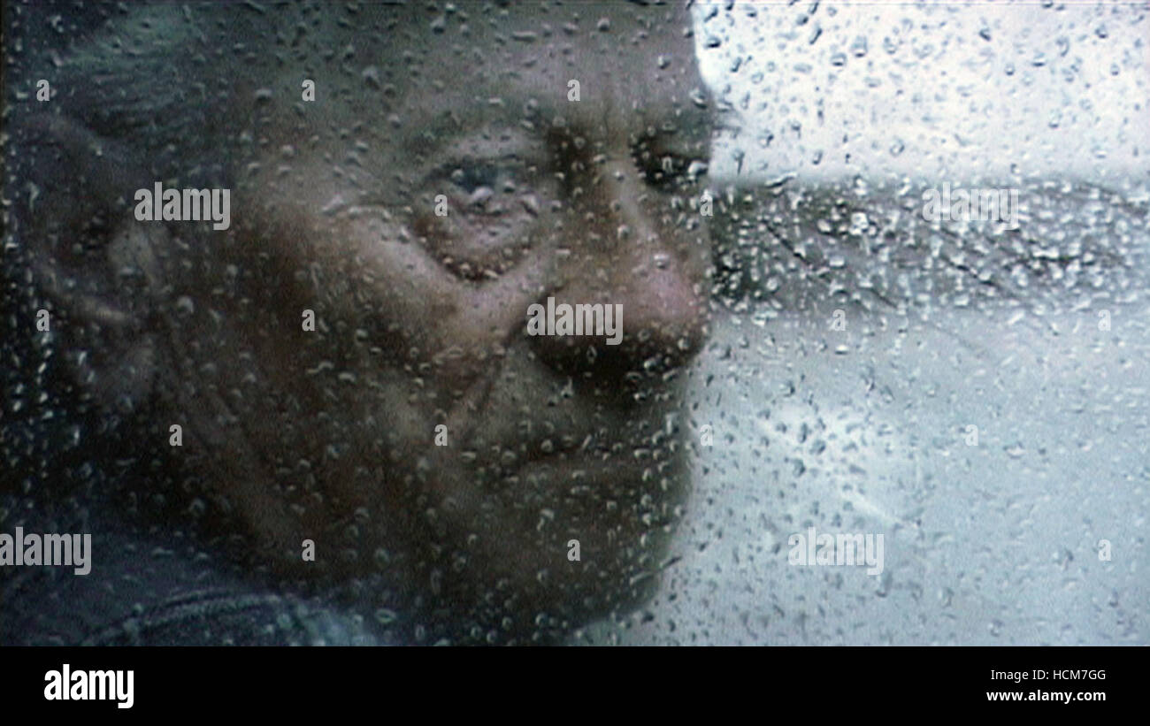 THE SOUND OF INSECTS: RECORD OF A MUMMY, 2008. ©Lorber Films/Courtesy ...