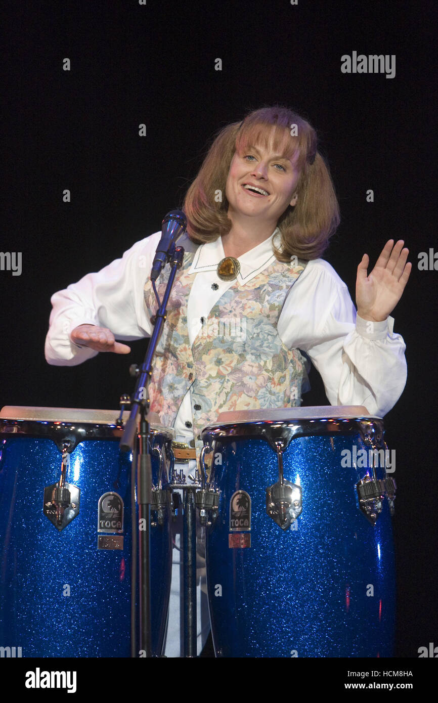 SPRING BREAKDOWN, Amy Poehler, 2009. ©Warner Bros./courtesy Everett ...