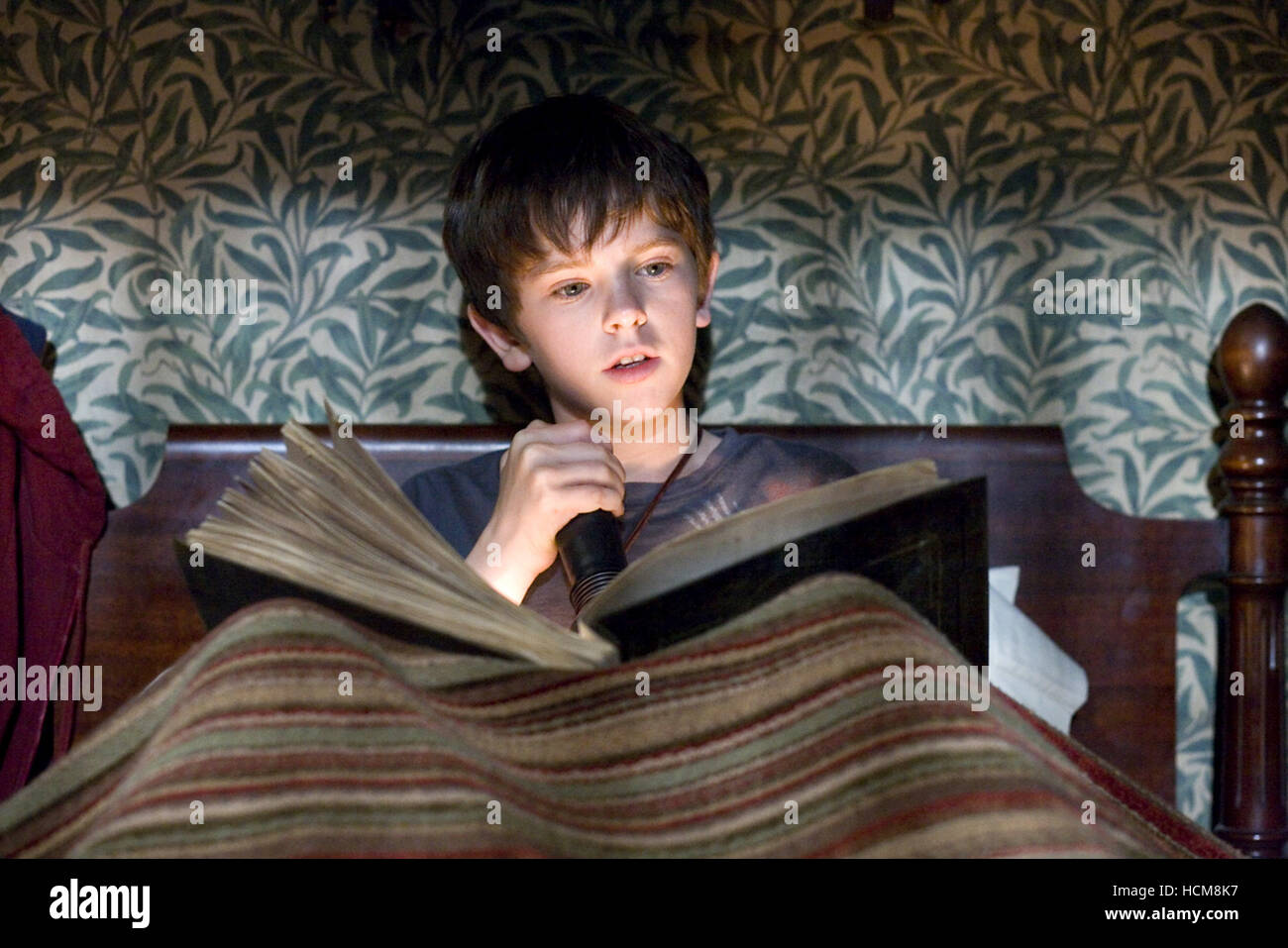 THE SPIDERWICK CHRONICLES, Freddie Highmore, 2008. ©Paramount/Courtesy ...
