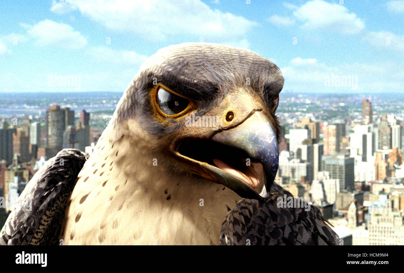 Stuart Little Falcon