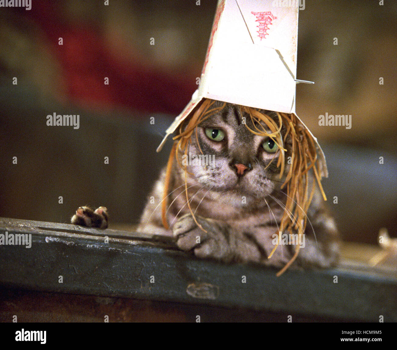 STUART LITTLE 2, Monty the cat, 2002, (c) Columbia/courtesy Everett ...