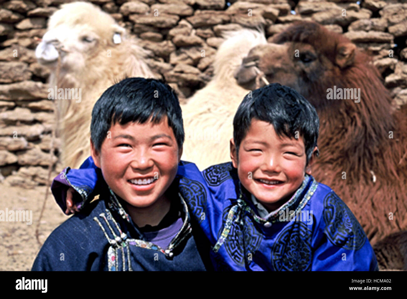 THE STORY OF THE WEEPING CAMEL, Enkhbulgan Ikhbayar, Uuganbaatar Ikhbayar, 2003, (c) ThinkFilm ...