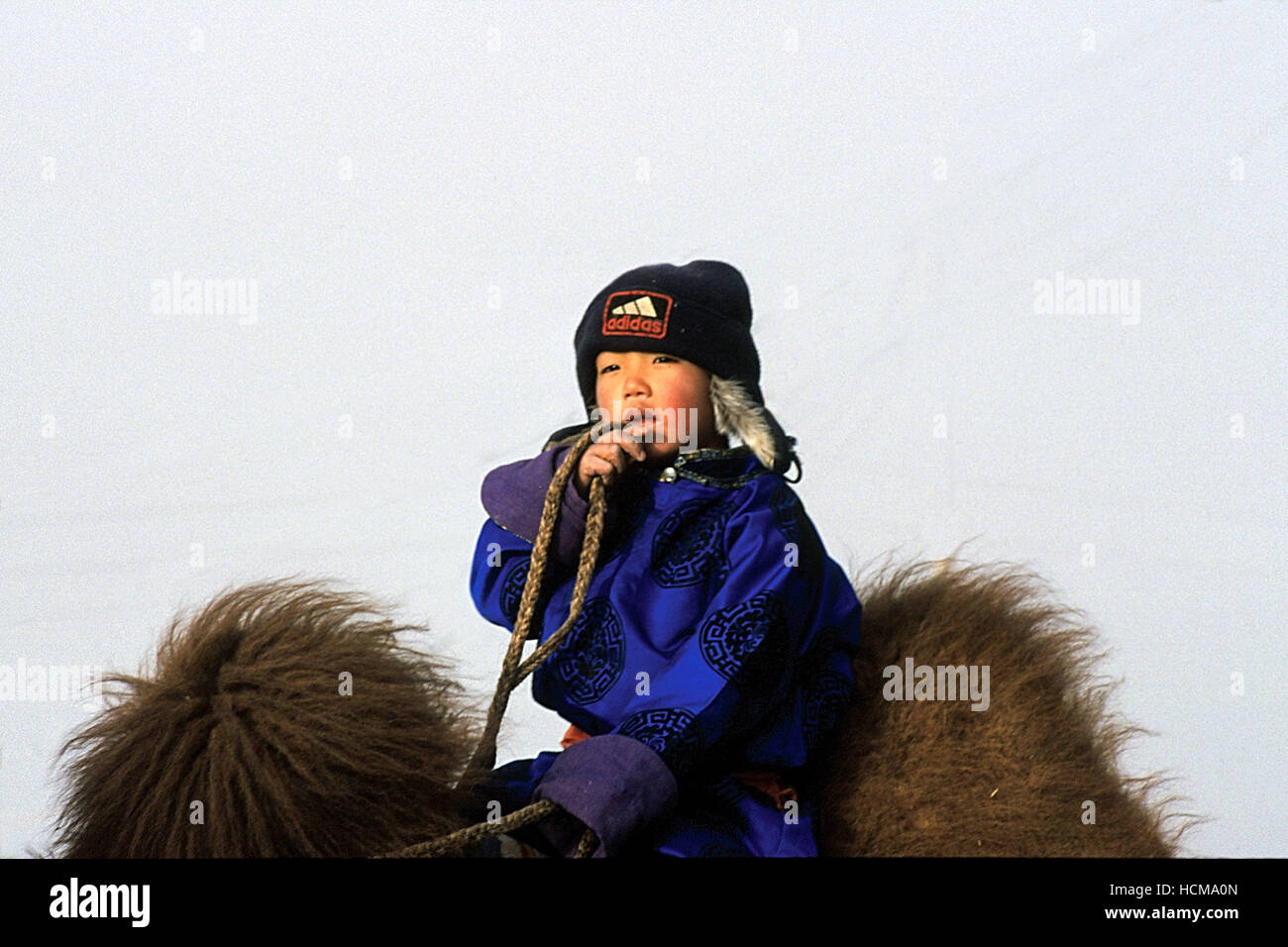 THE STORY OF THE WEEPING CAMEL, (aka DIE GESCHICHTE VOM WEINENDEN KAMEL ...