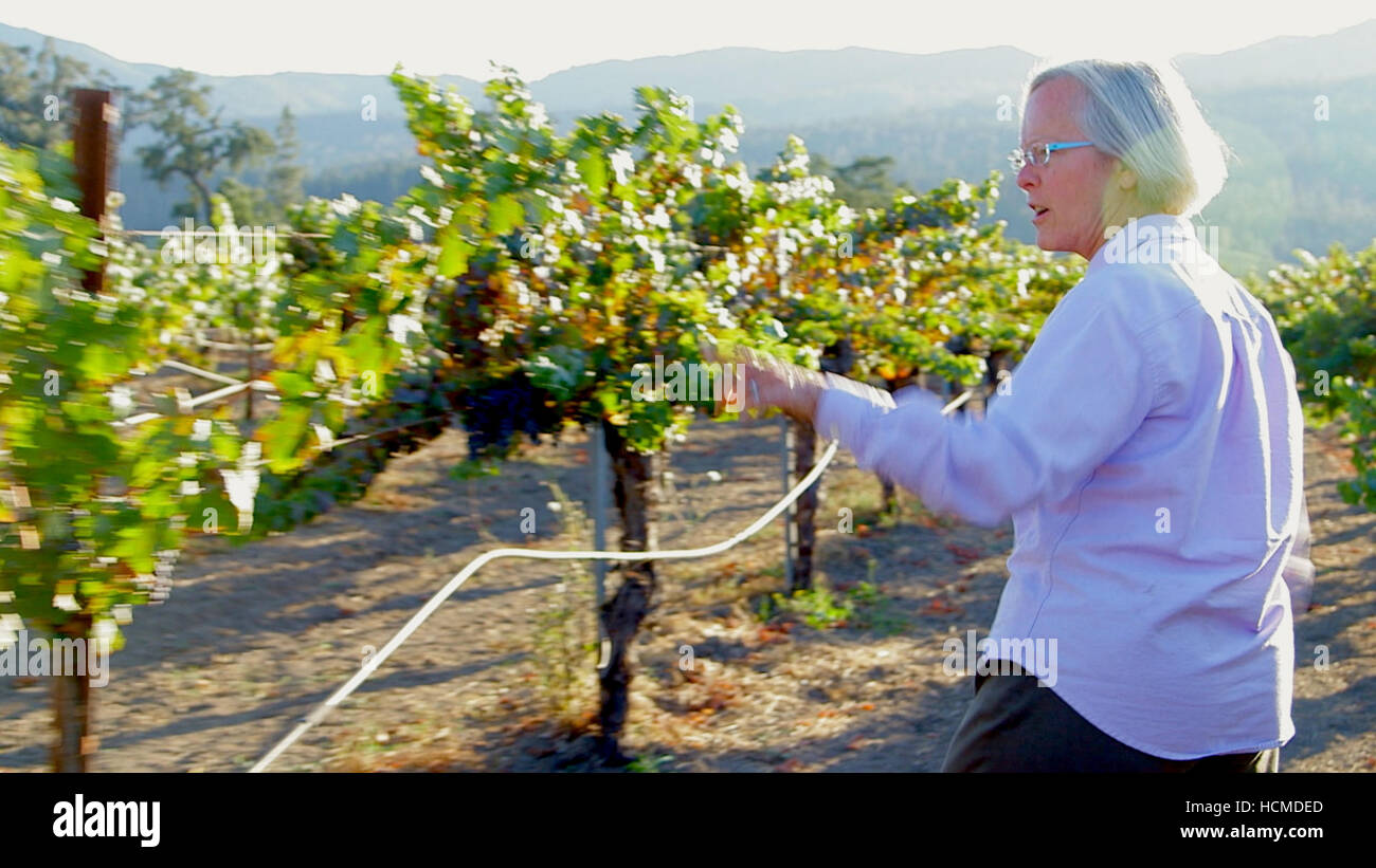 SOMM: INTO THE BOTTLE, Cathy Corison, 2015. ©Samuel Goldwyn Films ...