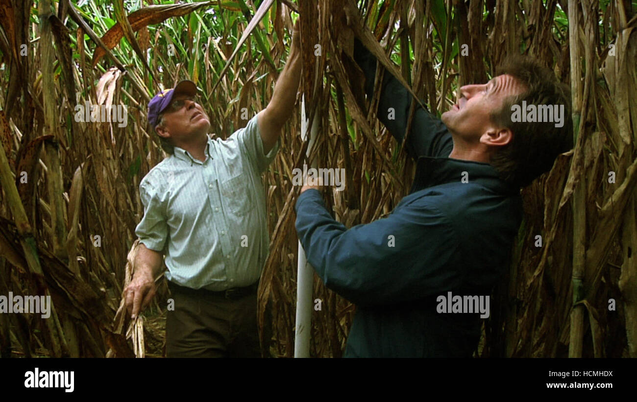SWITCH, Dr. Scott Tinker and biofuels farmer Richard Lamotte, in a crop ...