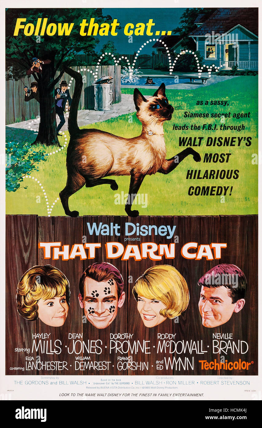 THAT DARN CAT, (aka THAT DARN CAT!), US poster art, from left: Dorothy ...