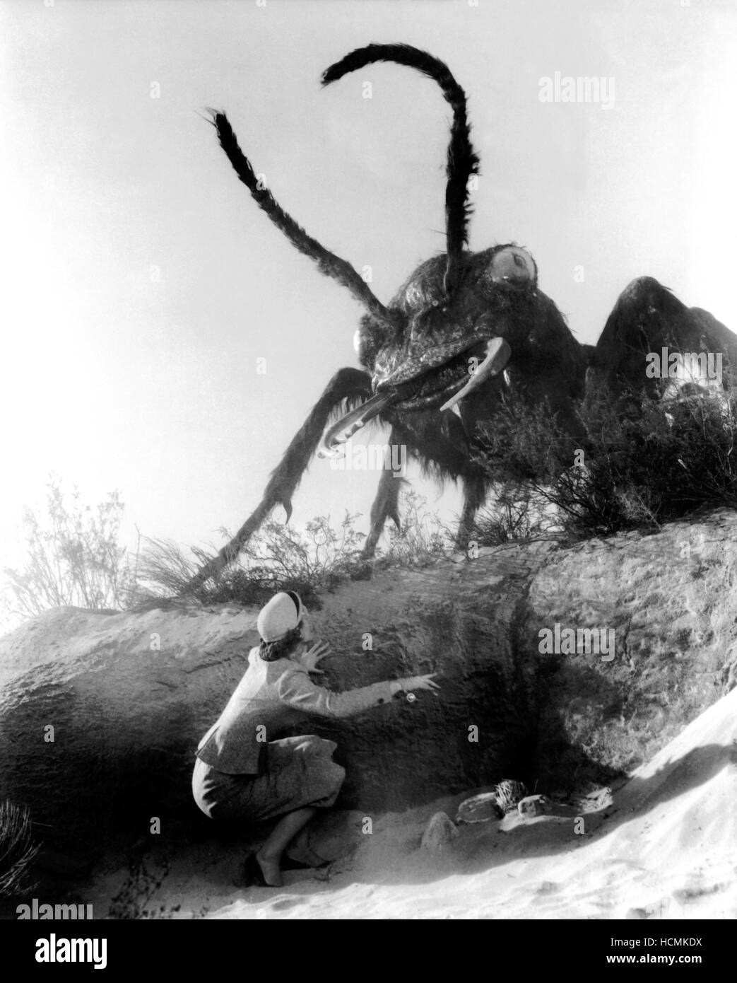 THEM!, Joan Weldon, 1954 Stock Photo - Alamy