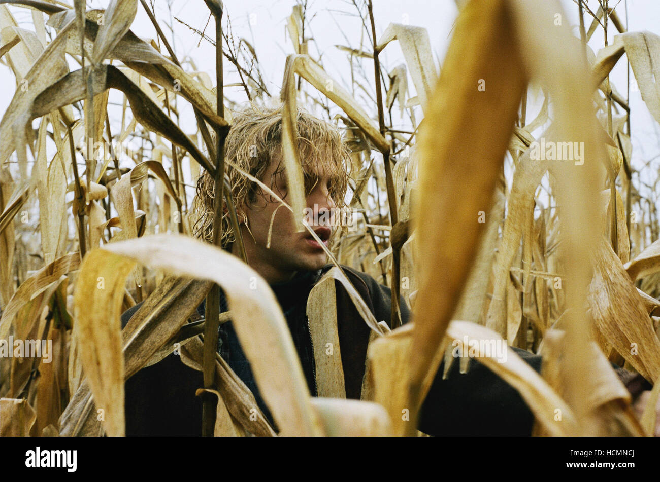 TOM AT THE FARM, (aka TOM A LA FERME), Xavier Dolan, 2013. ©Amplify ...