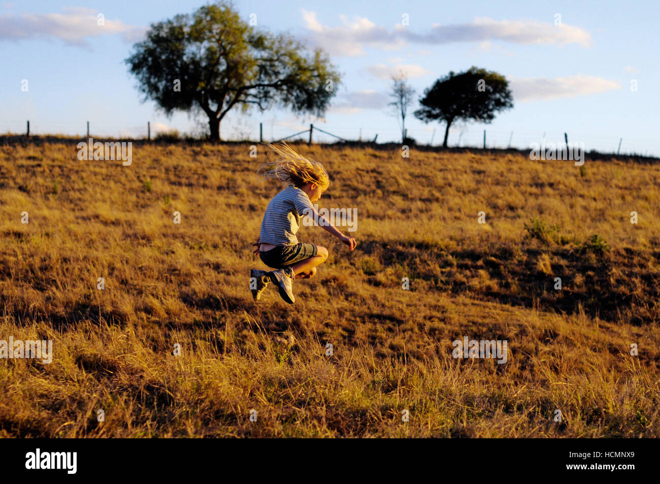 THE TREE, Morgana Davies, 2010. ©Zeitgeist Films/Courtesy Everett ...