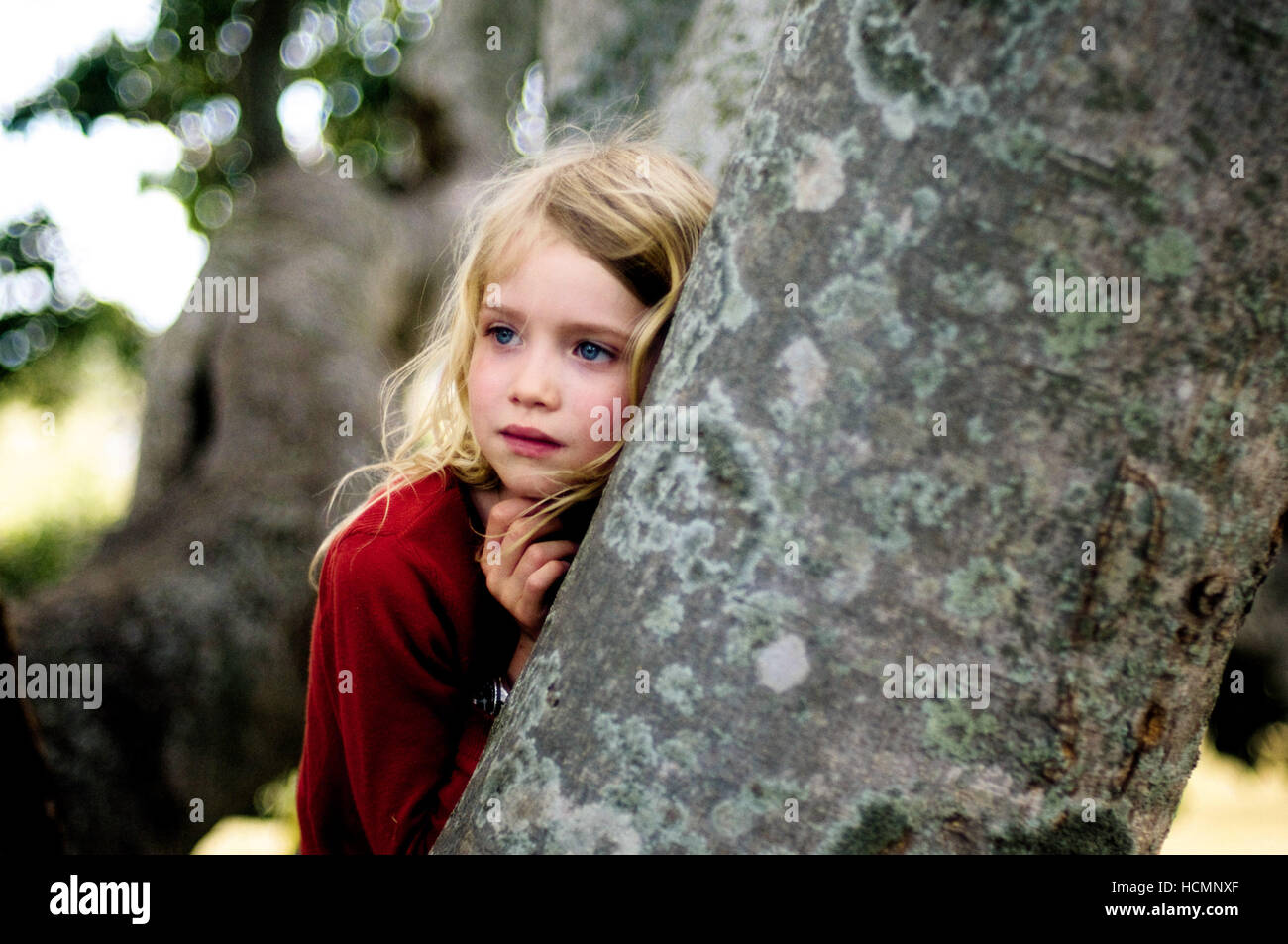 THE TREE, Morgana Davies, 2010. ©Zeitgeist Films/Courtesy Everett ...