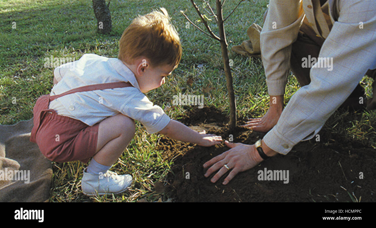 THE TREE OF LIFE, 2011. ©Fox Searchlight/Courtesy Everett Collection ...