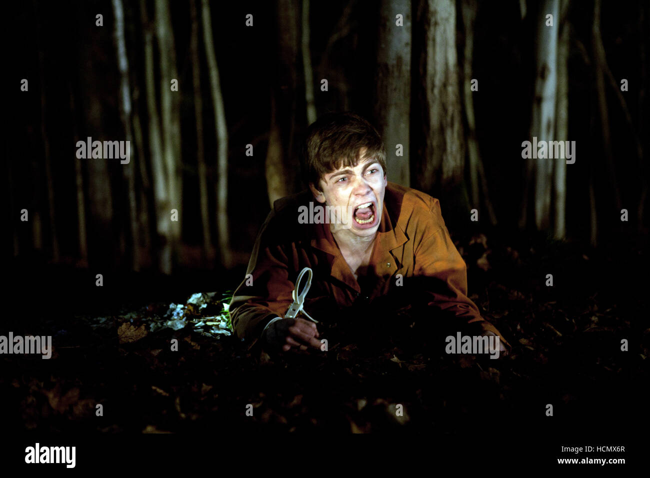 TERRITORIES, (aka TERRITOIRES, aka CHECKPOINT), Alex Weiner, 2010. ph ...