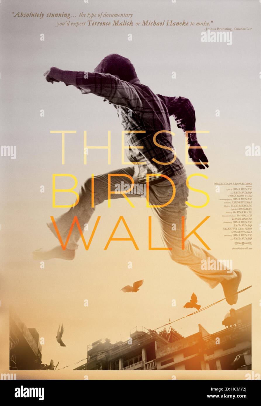 THESE BIRDS WALK, US poster art, 2013. ©Oscilloscope Pictures/courtesy ...