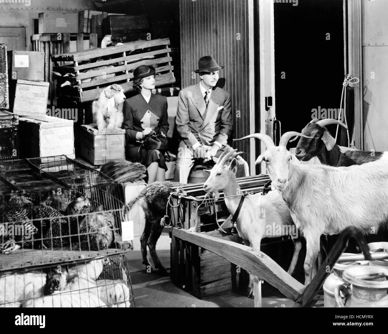 THE THIN MAN GOES HOME, Asta the dog, Myrna Loy, William Powell, 1944 ...