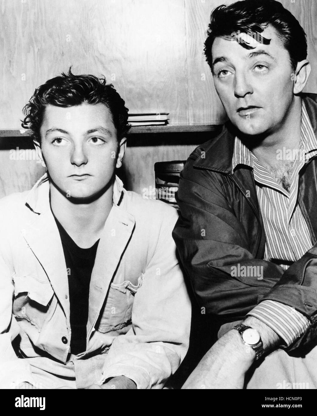 THUNDER ROAD, James Mitchum, Robert Mitchum, 1958 Stock Photo - Alamy