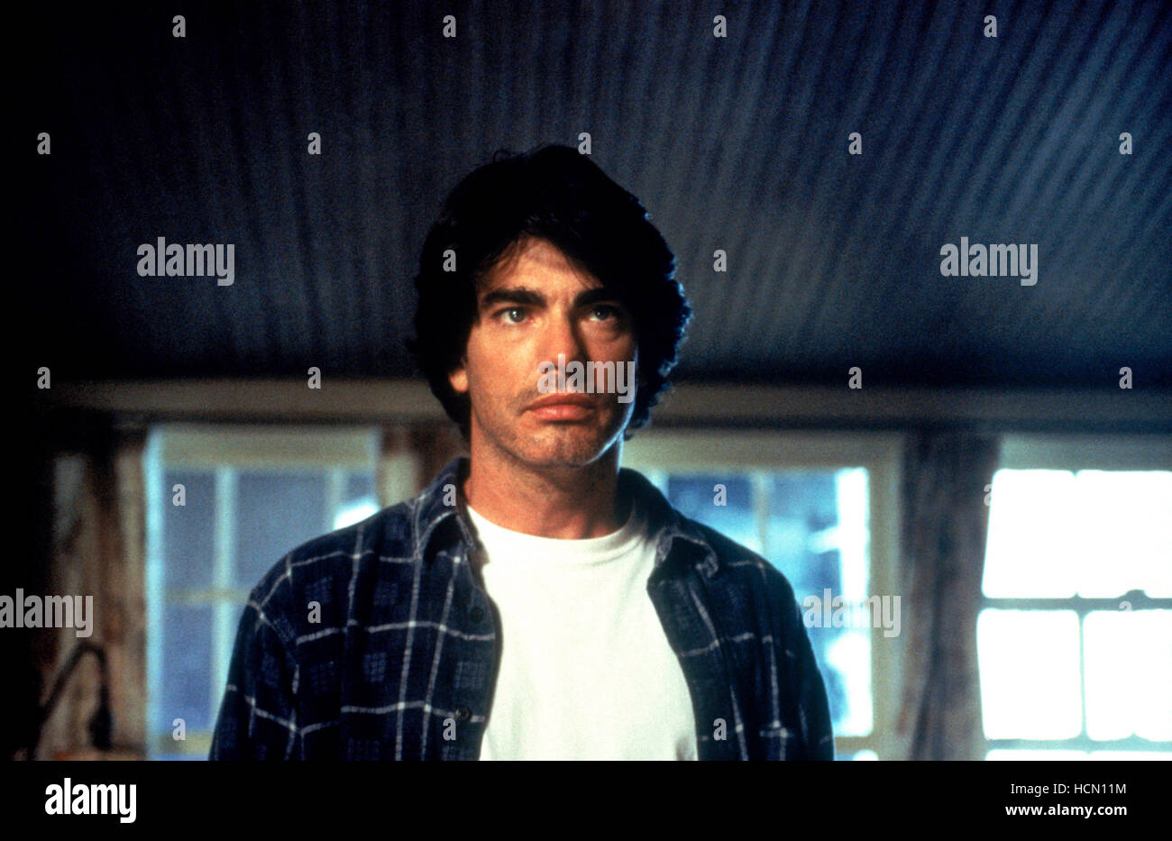 TO GILLIAN ON HER 37TH BIRTHDAY, Peter Gallagher, 1996, ©Triumph Films ...