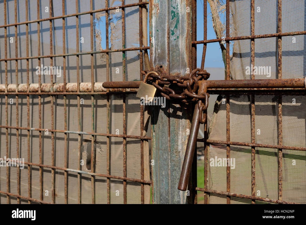 metal gate locked with chain and padlock Stock Photo - Alamy