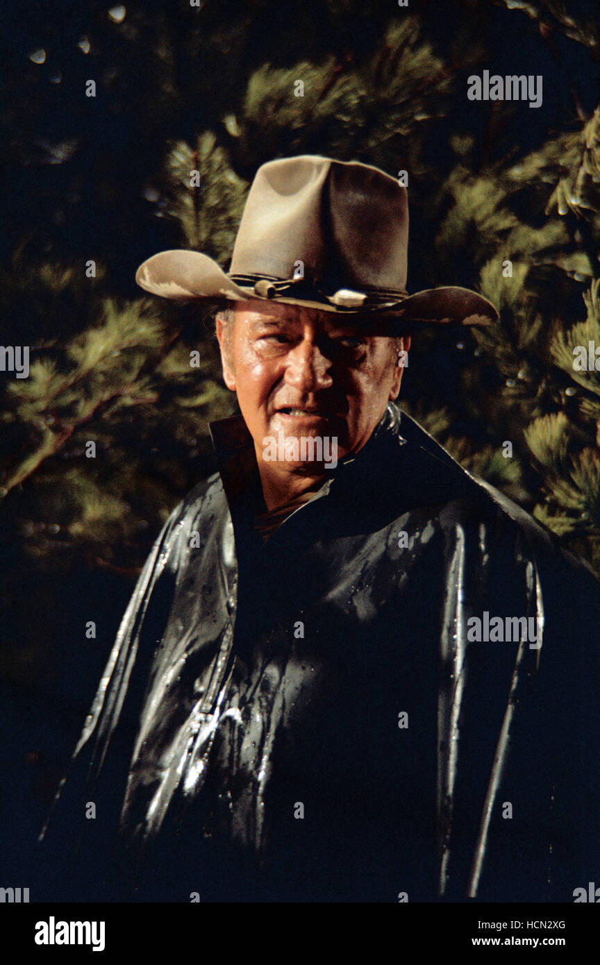THE TRAIN ROBBERS, John Wayne, 1973 Stock Photo - Alamy