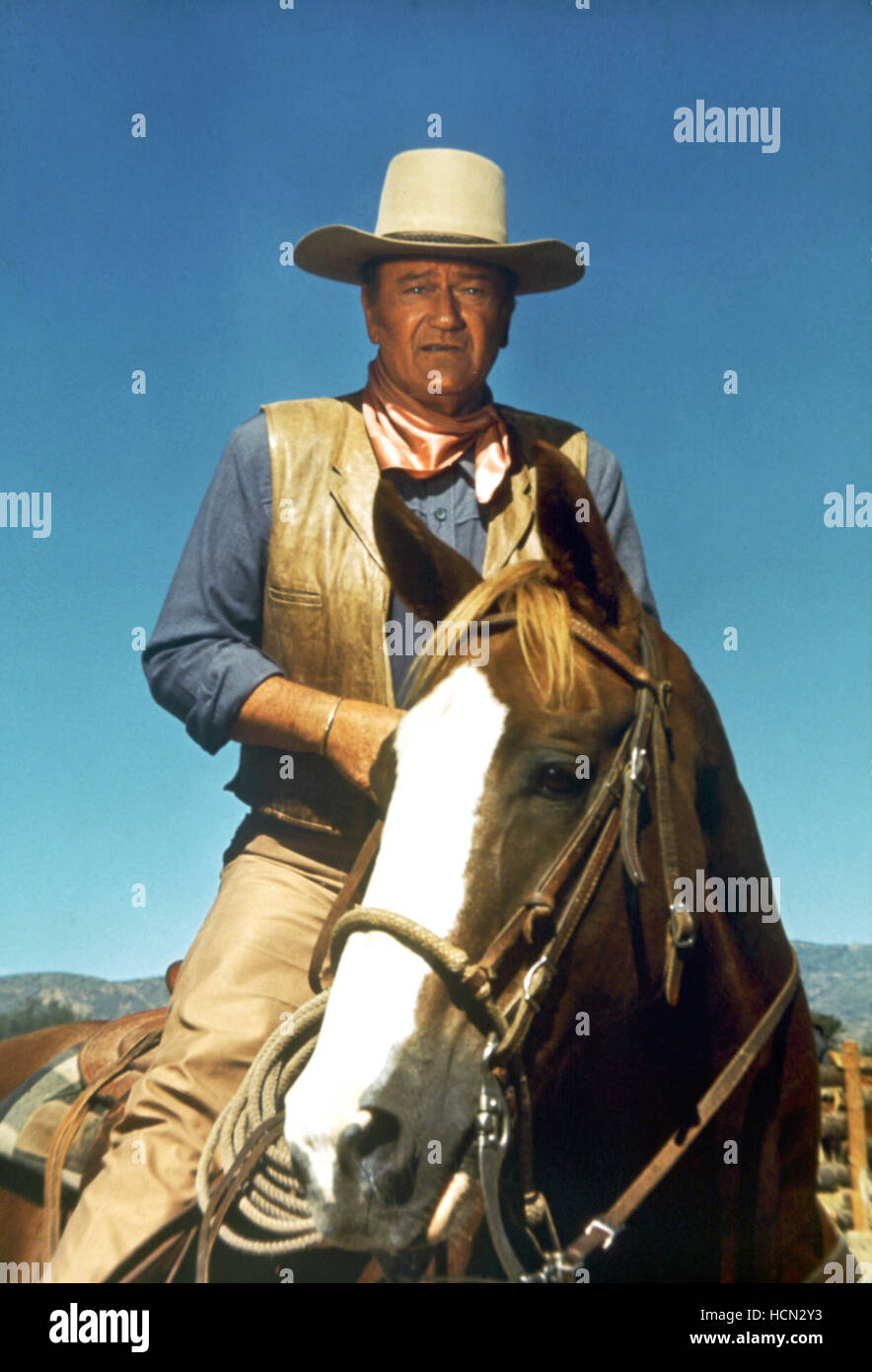 THE TRAIN ROBBERS, John Wayne, 1973 Stock Photo - Alamy