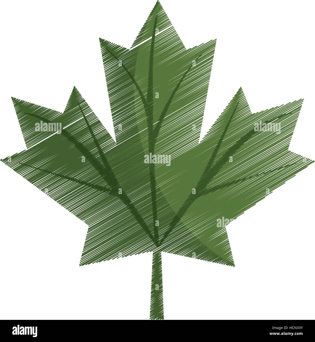 Lush canadian forest Stock Vector Images - Alamy