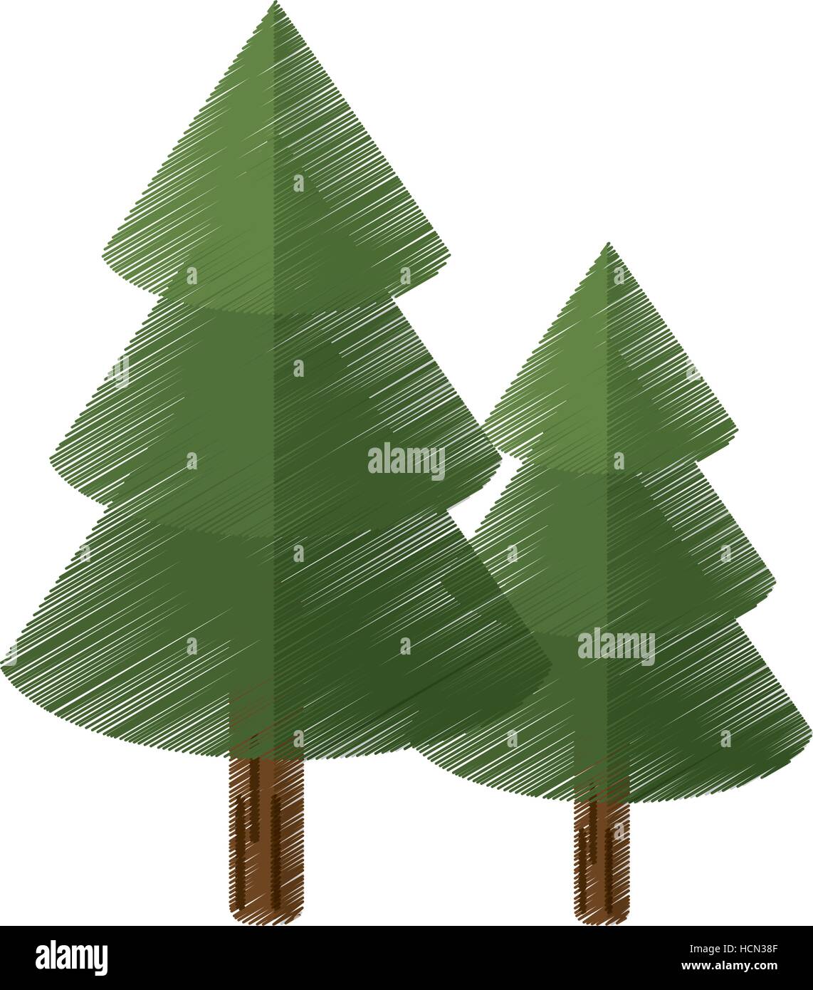 colored canadian evergreen tree pine Stock Vector Image & Art - Alamy
