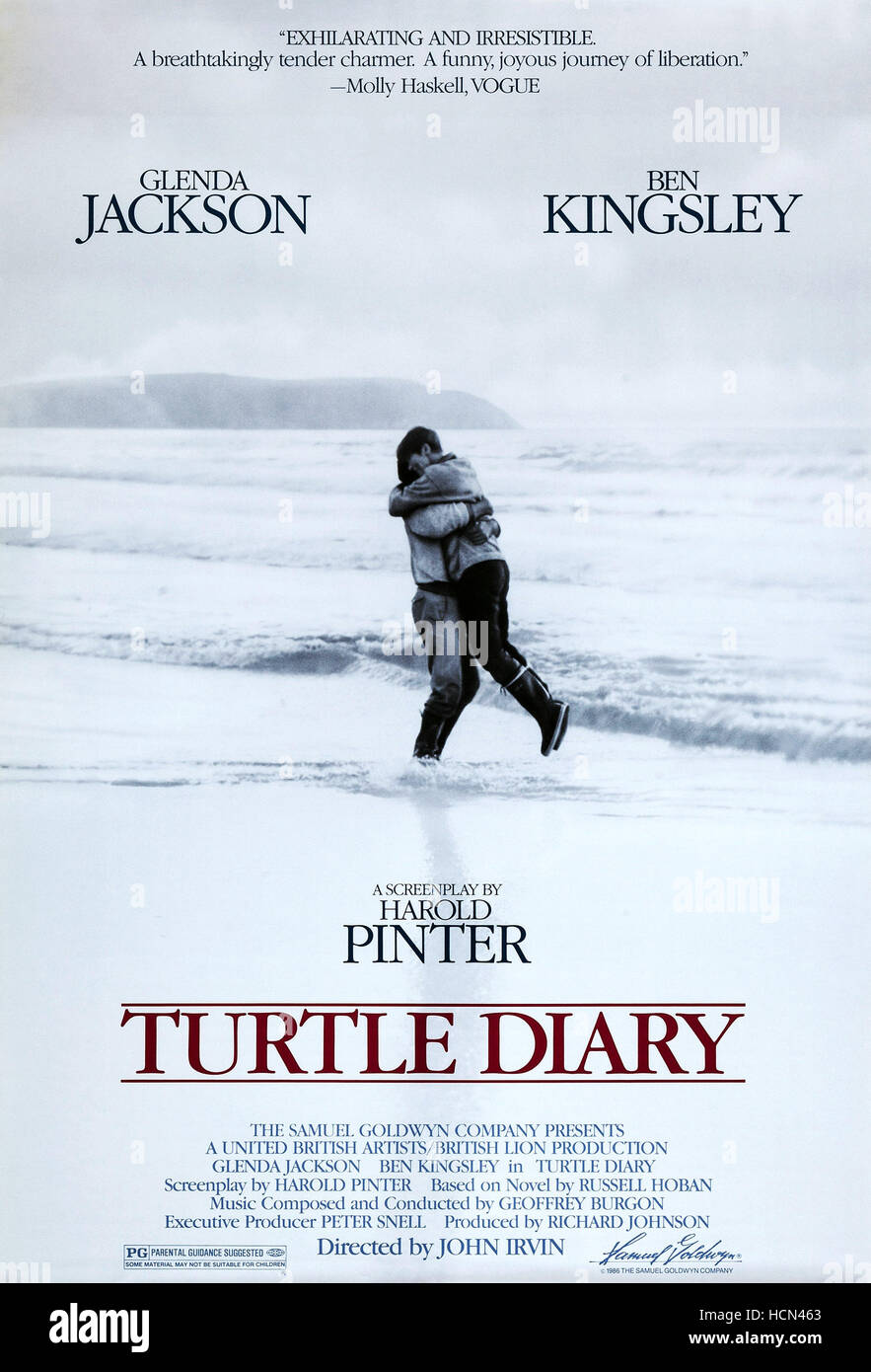 Turtle poster hi-res stock photography and images - Alamy