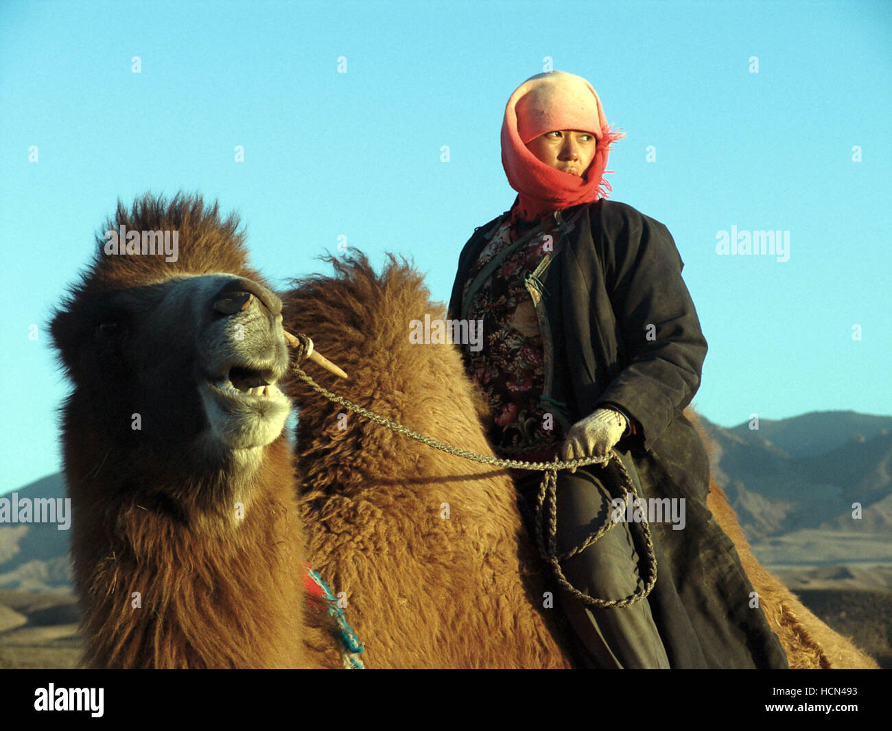 TUYA'S MARRIAGE, (aka TUYA DE HUN SHI), Nan Yu, 2006. ©Music Box Films ...