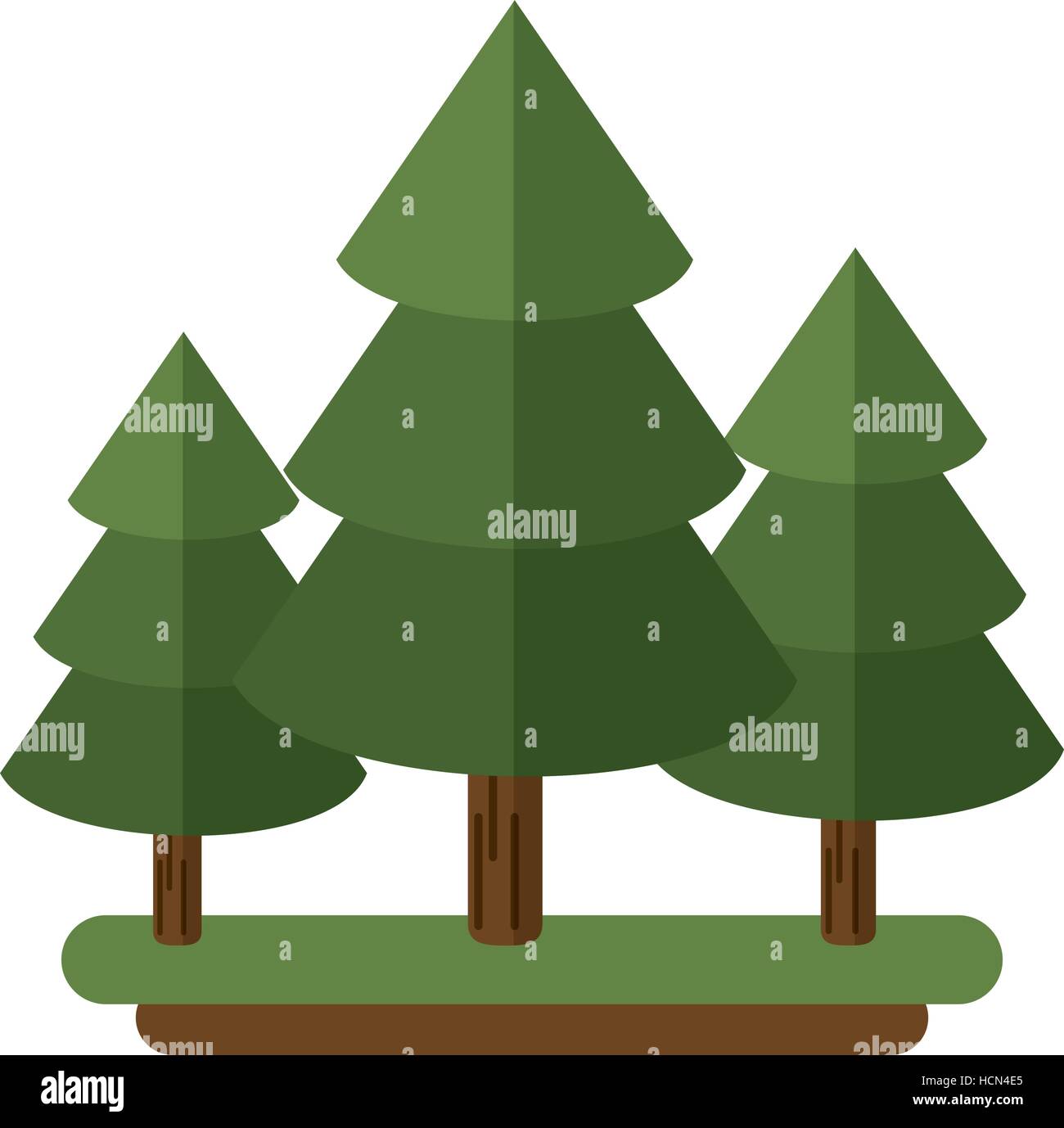 Canadian cedar Stock Vector Images - Alamy