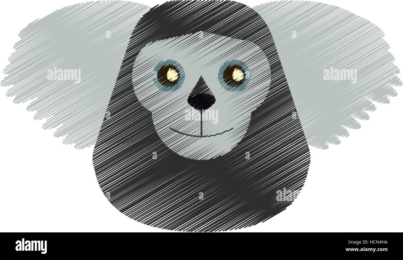 drawing black bearded saki animal brazil Stock Vector Image & Art - Alamy